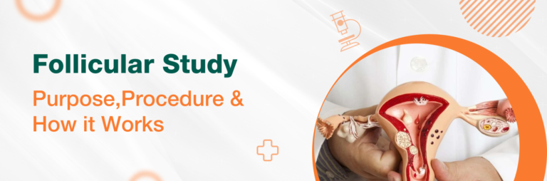 Follicular Study – Purpose, Procedure & How it Works - Samyuktha scans